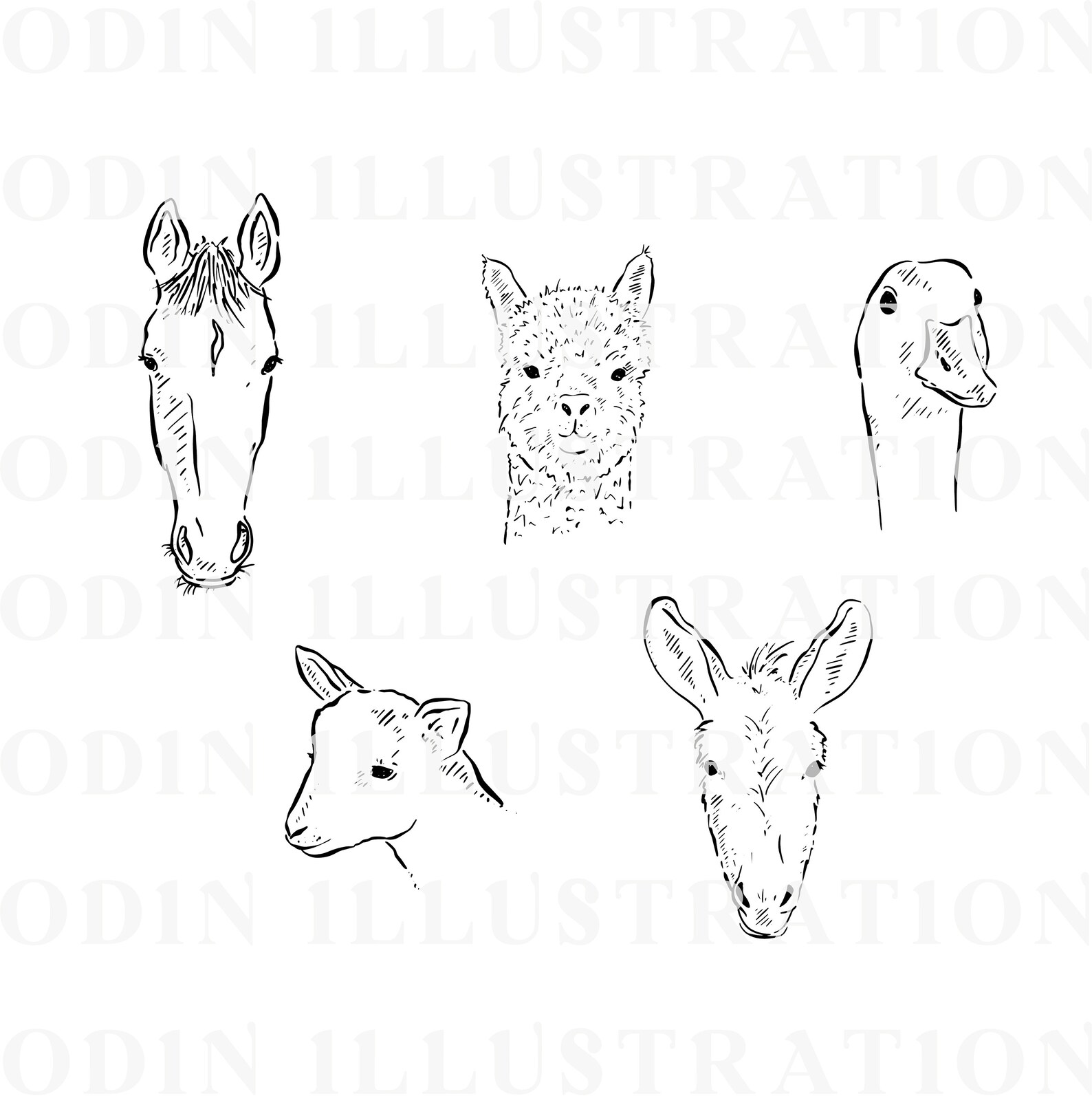 Farm Animals Digital Clip Art, Digital Illustration Downloads, 20 Png ...