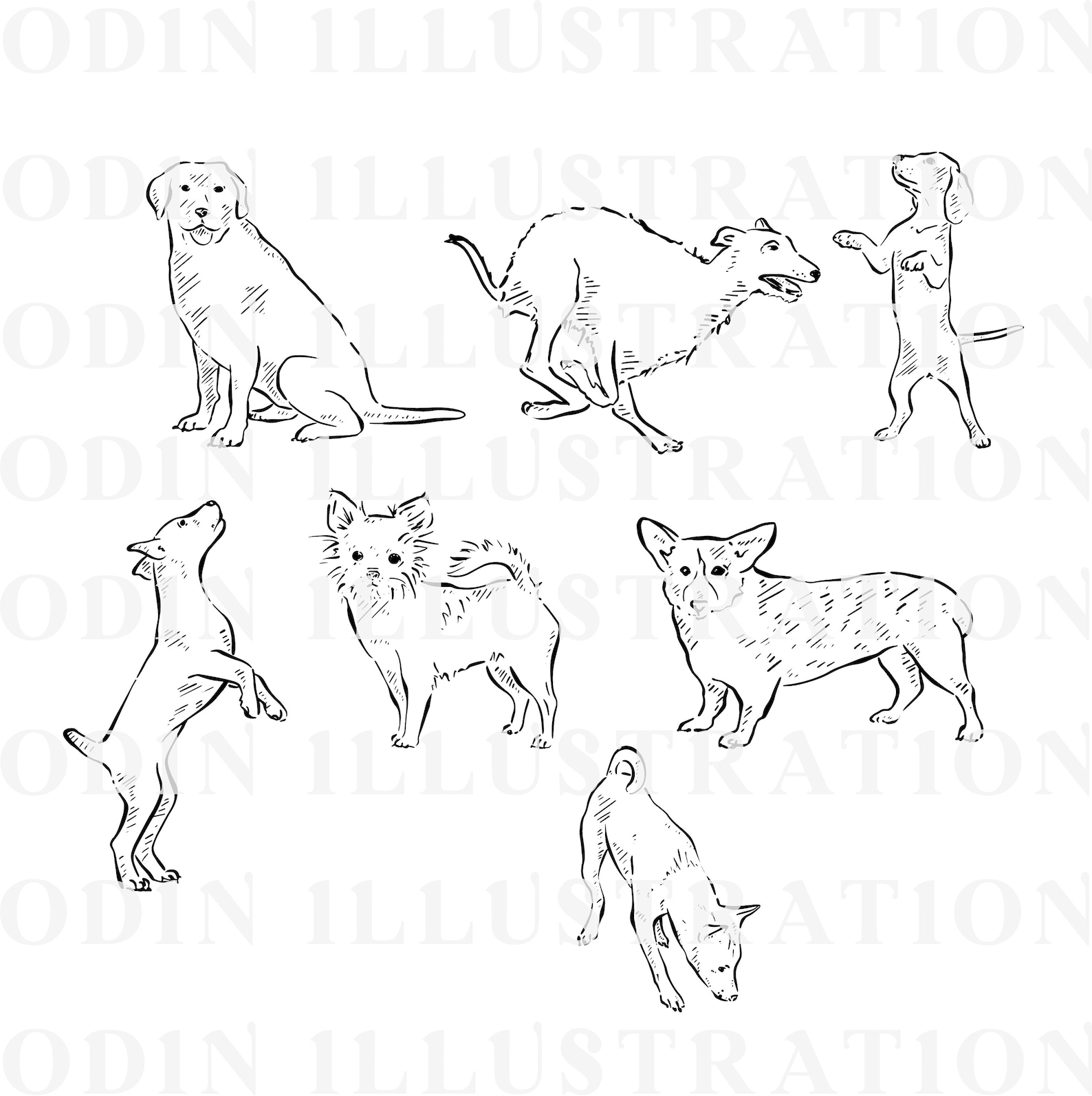 Dogs Line Drawn Clipart, 30 Png, Svg, Dxf Eps Vector Files, Pooches ...