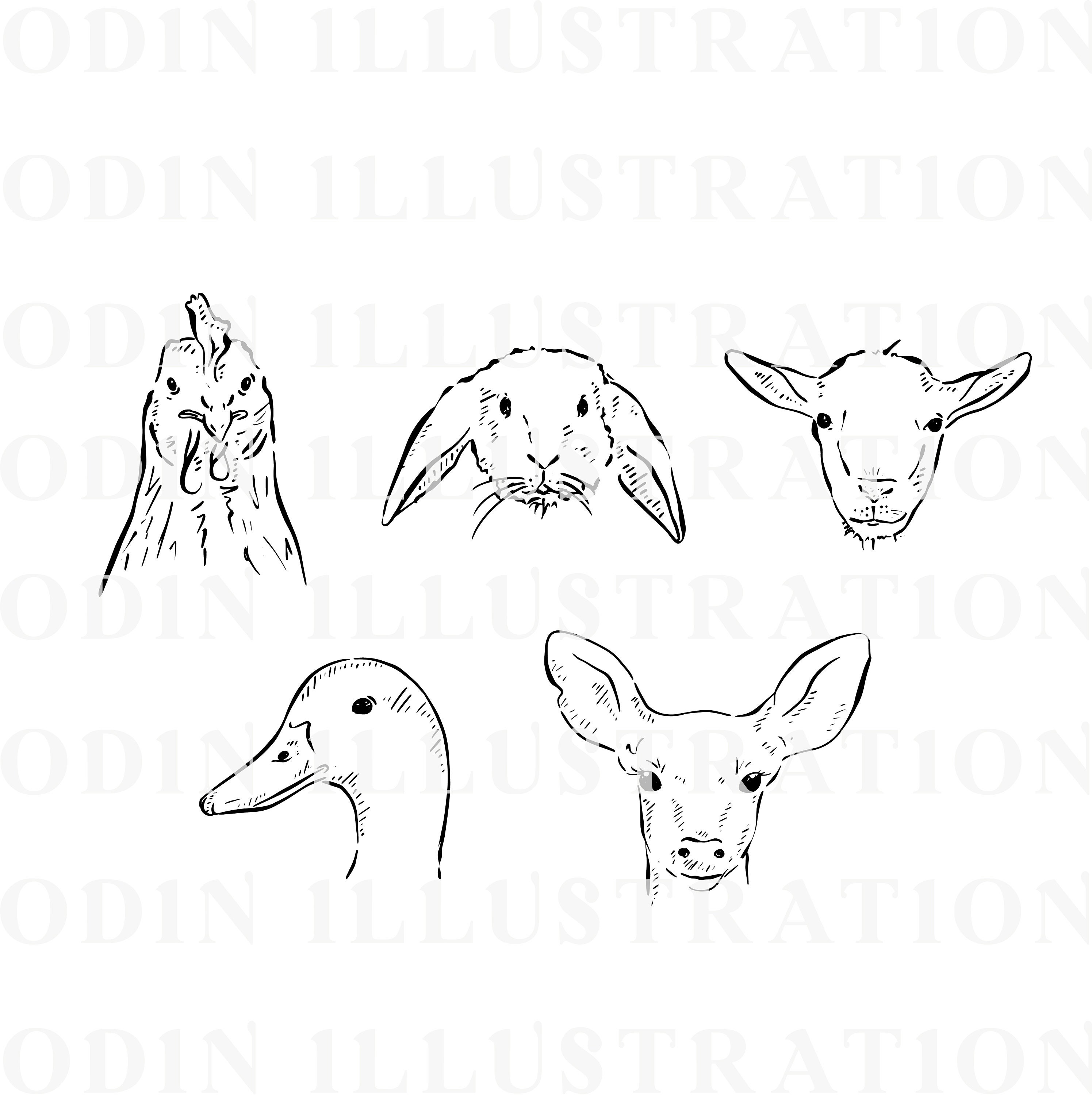 Farm Animals Digital Clip Art, Digital Illustration Downloads, 20 Png ...