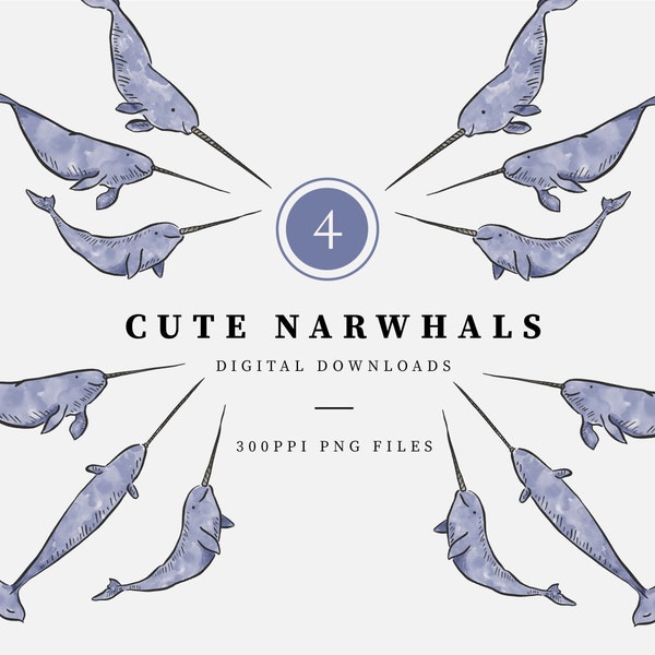 Narwhal Clip Art - Etsy