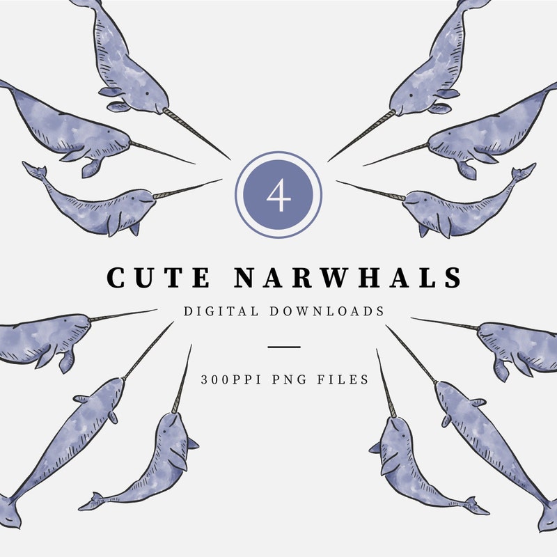 Narwhal Clip Art - Etsy