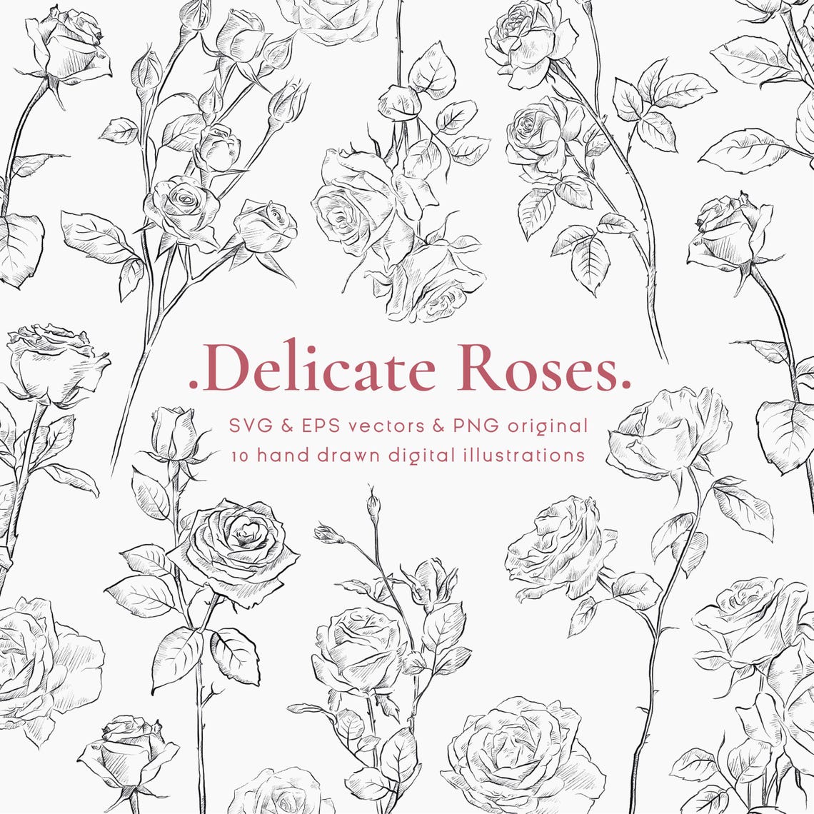 Hand Sketched Roses, Line Drawn Wedding Florals, Flowers Digital ...