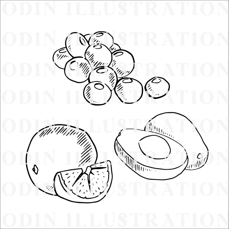 Fruit Clipart Bundle, Instant Download Line Drawn Svg, Png, Eps, Dxf ...