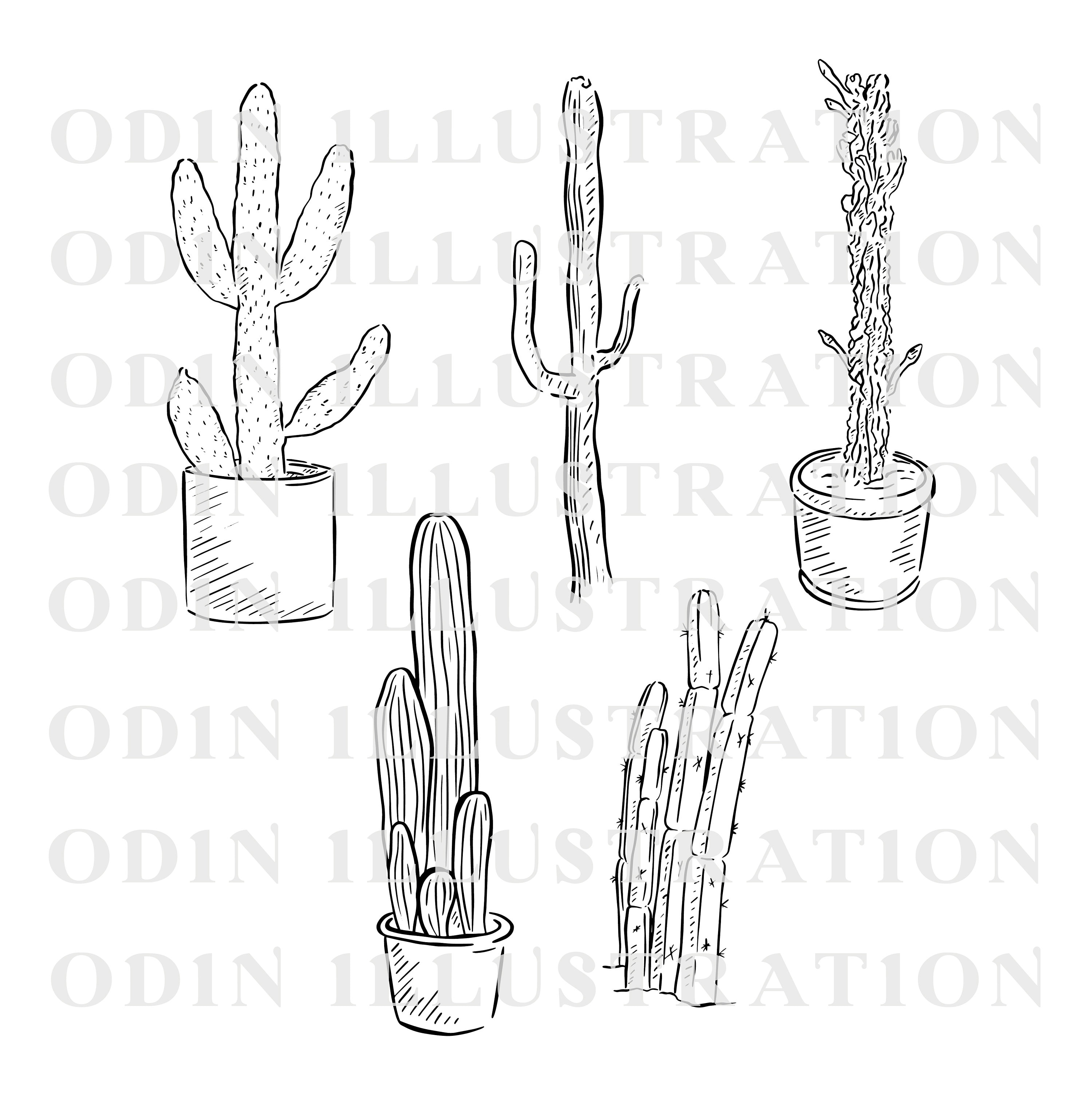 Cactus Clipart House Plant Digital Download Illustration - Etsy