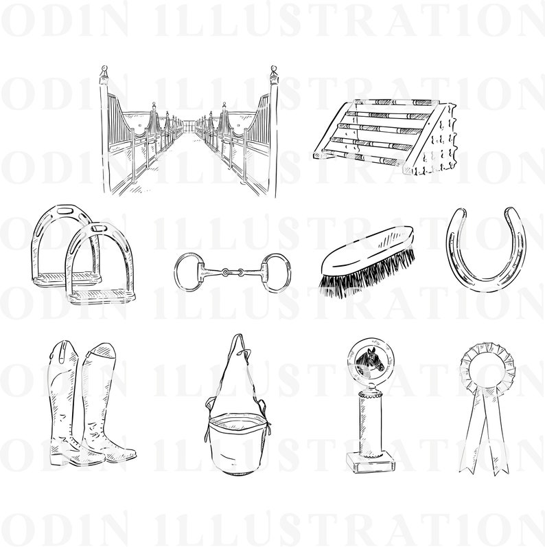 Horse Riding Clip Art Bundle, Equestrian Drawings, Hand Drawn Digital ...