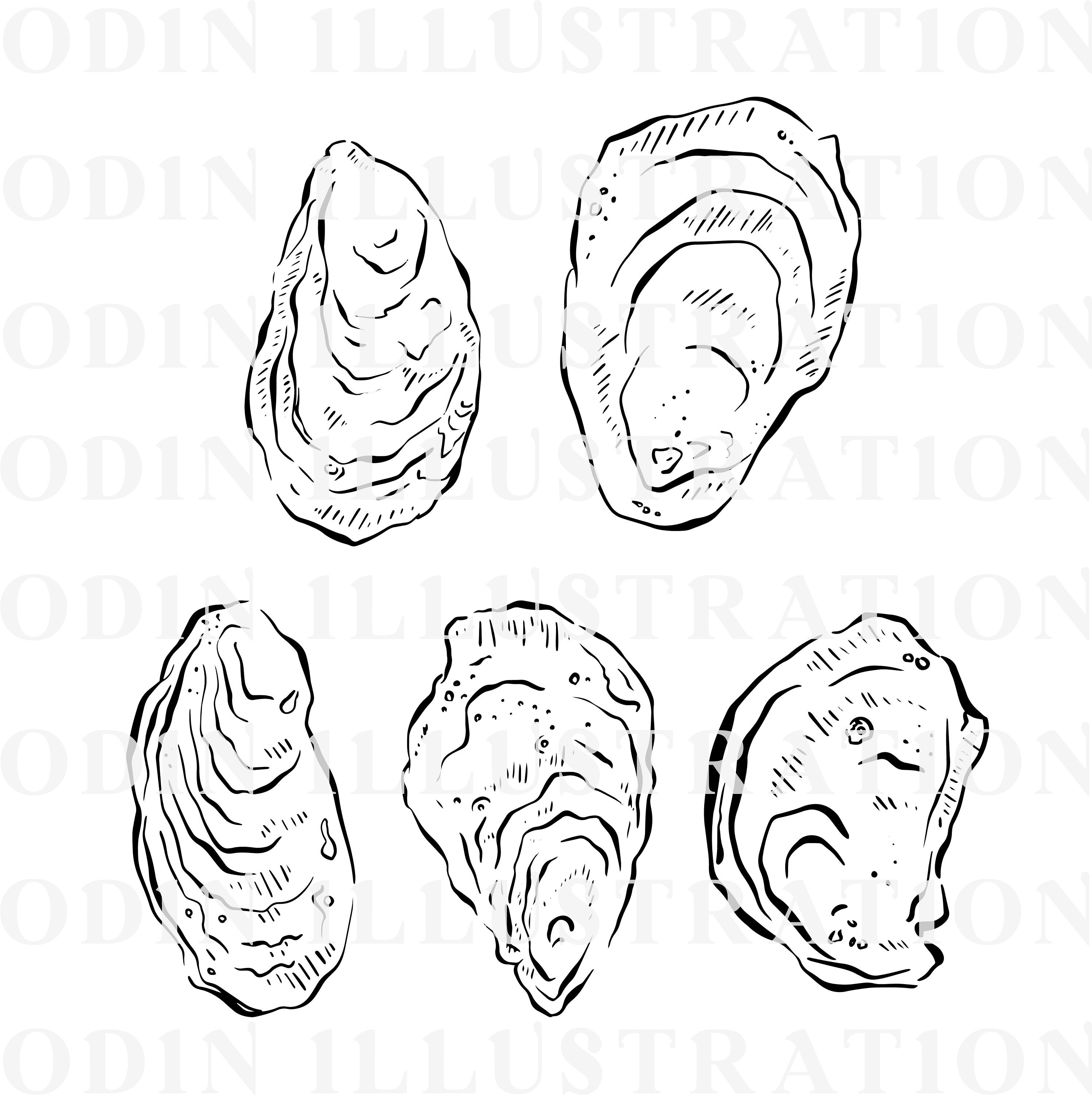 Oysters Line Drawn Clipart Bundle, Shellfish Illustrations, Instant ...