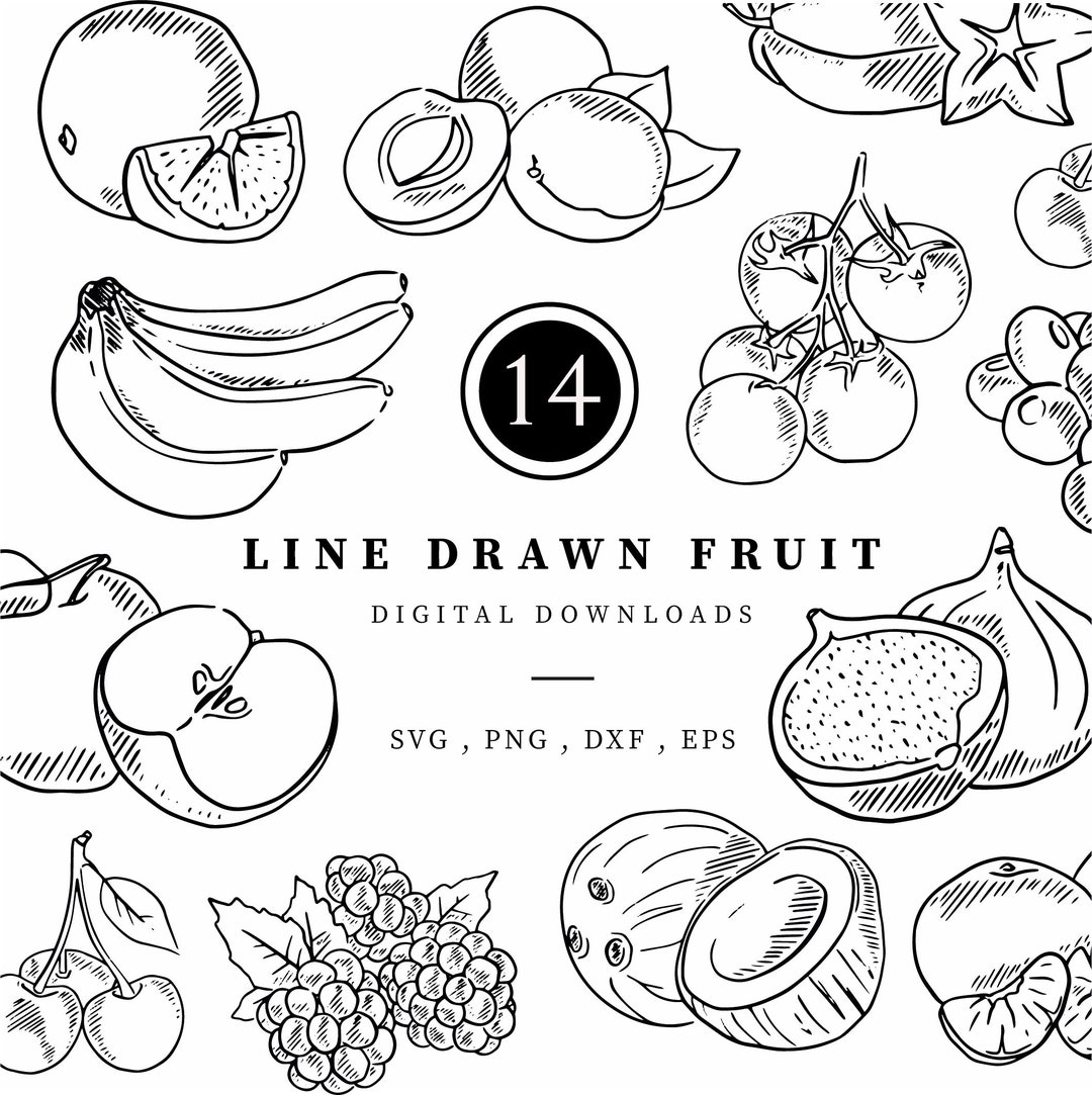 Fruit Clipart Bundle, Instant Download Line Drawn Svg, Png, Eps, Dxf ...