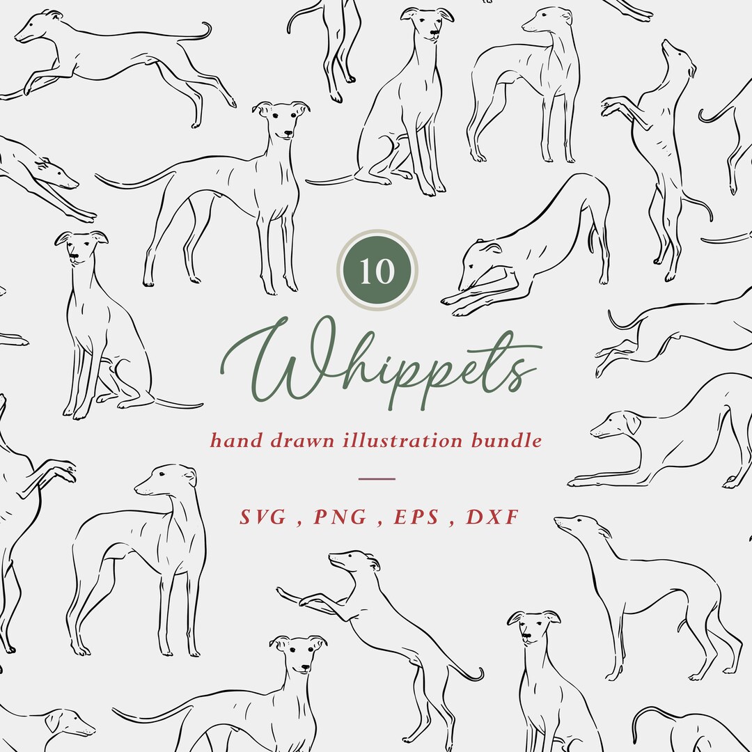Whippet Dogs Line Drawn Clipart Bundle, 10 Png, Svg, Dxf Eps Vector ...
