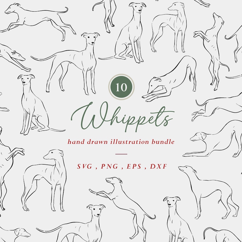 Hand Drawn Whippet Clipart, Greyhound Drawings, Printable Signthound ...