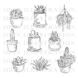Cactus Clipart, House Plant Digital Download, Illustration Bundle, Line ...