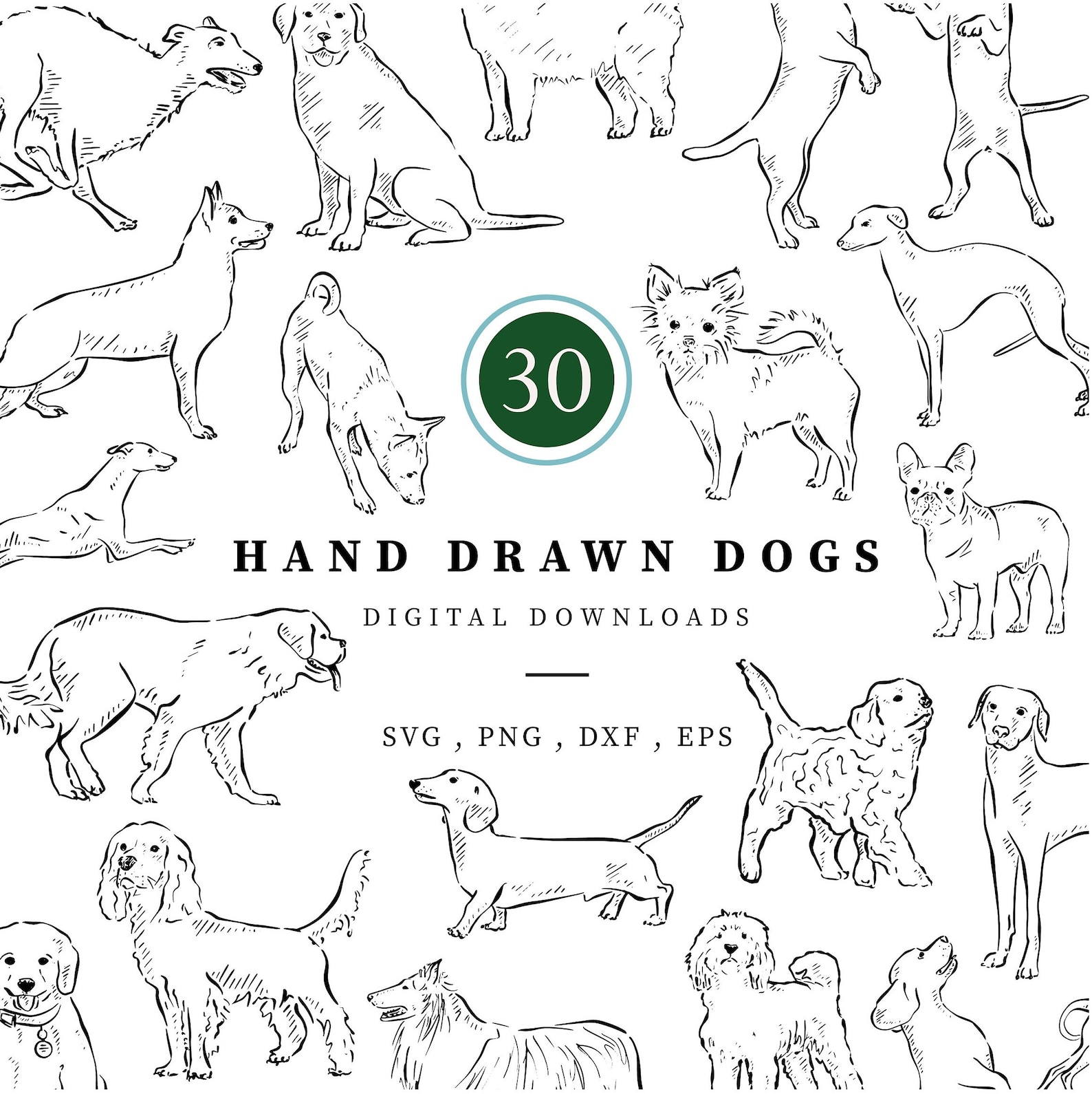 Dogs Line Drawn Clipart, 30 Png, Svg, Dxf Eps Vector Files, Pooches ...