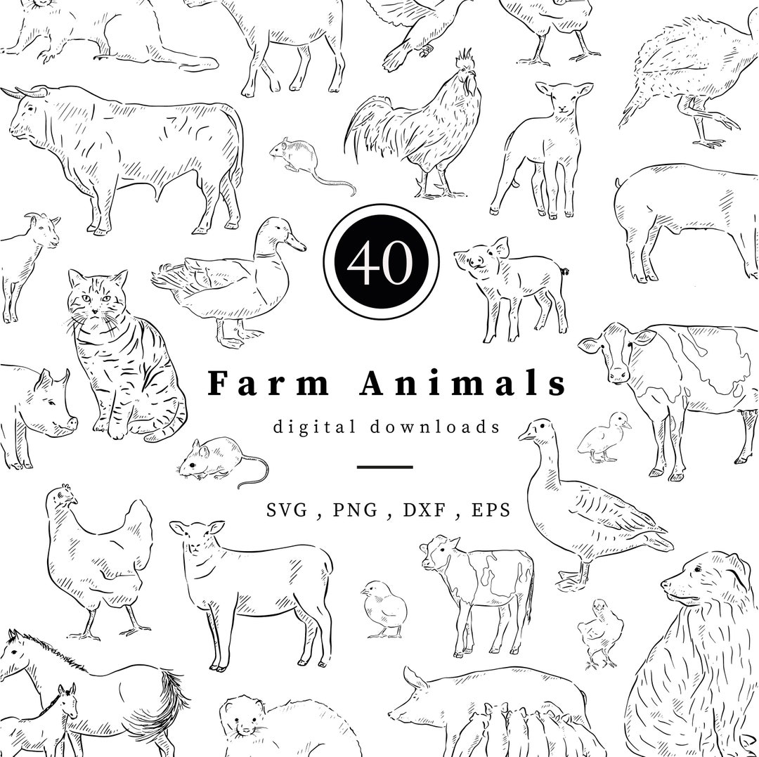 Farm Animal Line Drawn Clipart, 40 Png, Svg, Dxf & Eps Files at 300 Dpi ...
