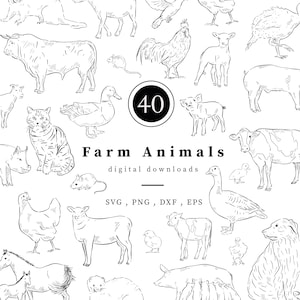 Farm Animal Line Drawn Clipart, 40 Png, Svg, Dxf & Eps Files at 300 Dpi ...