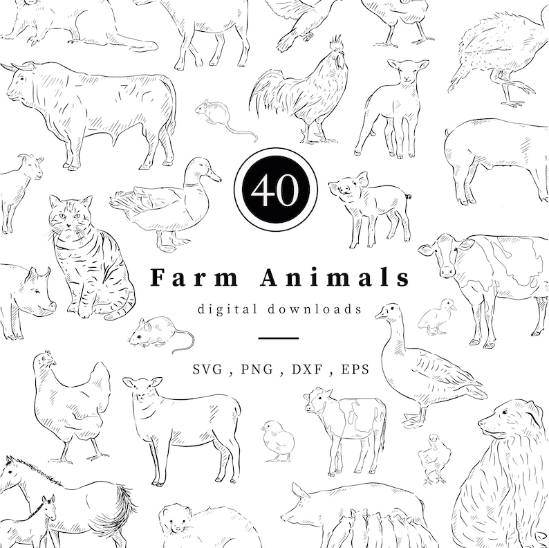 Farm Animal Line Drawn Clipart, 40 Png, Svg, Dxf & Eps Files at 300 Dpi ...