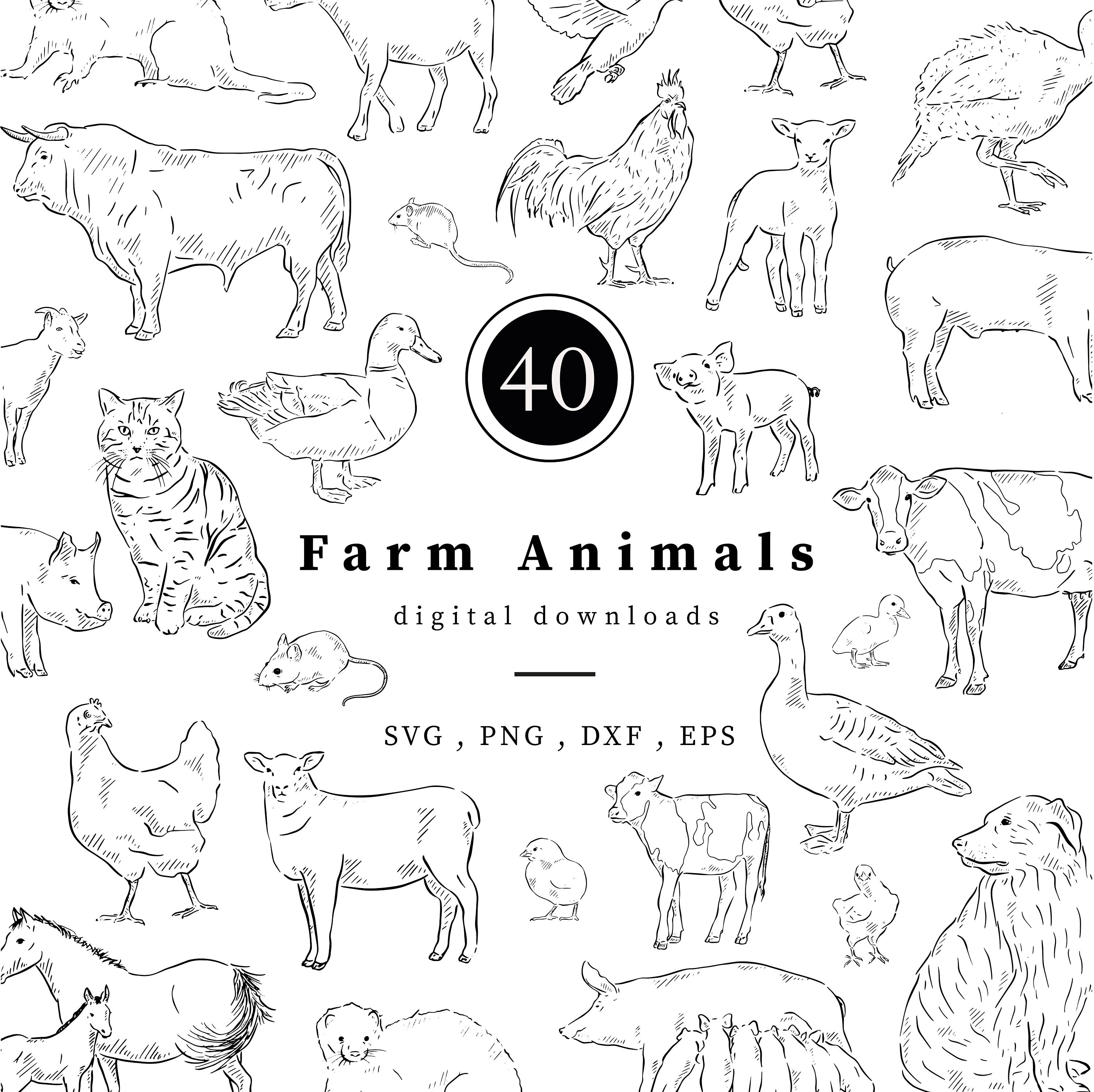 Farm Animal Line Drawn Clipart, 40 Png, Svg, Dxf & Eps Files at 300 Dpi ...