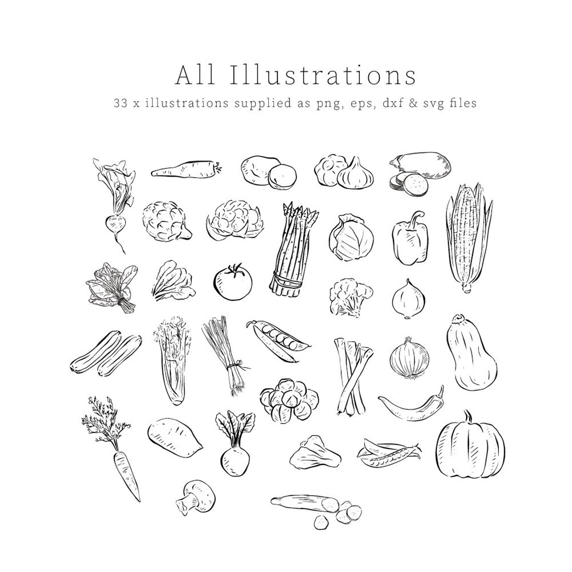 Vegetables Line Drawn Clipart, Black and White Digital Download, Png ...