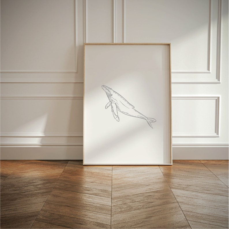 Line Drawn Whales, 20 Png, Svg, Dxf & Eps Files at 300 Dpi, Sea Life ...