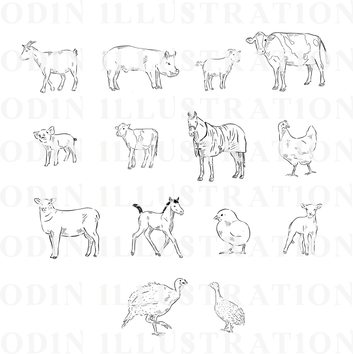 Farm Animal Line Drawn Clipart, 40 Png, Svg, Dxf & Eps Files at 300 Dpi ...