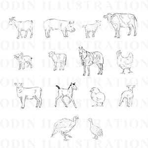 Farm Animal Line Drawn Clipart, 40 Png, Svg, Dxf & Eps Files at 300 Dpi ...