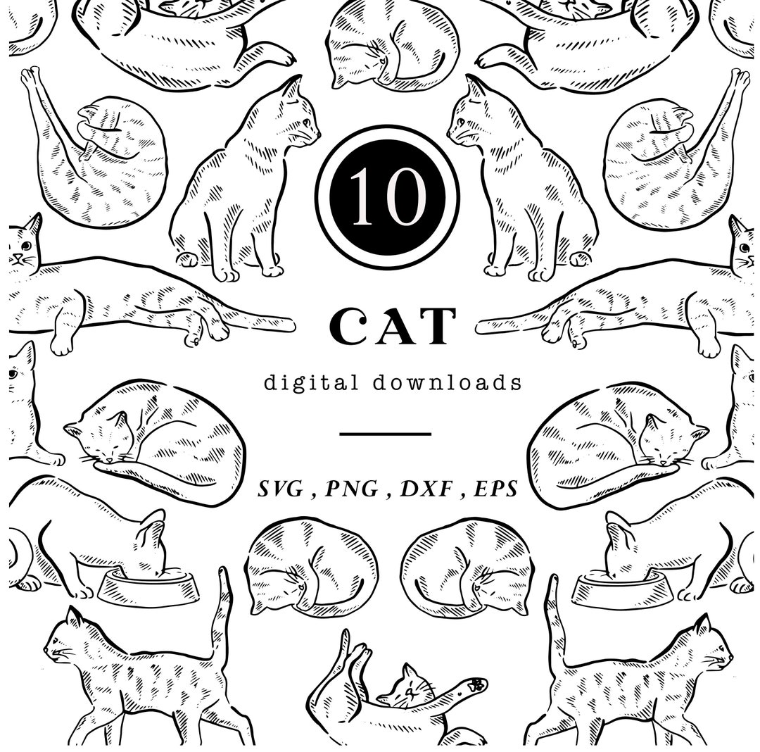 Cat Drawings, Instant Digital Download Line Drawing, Vector ...