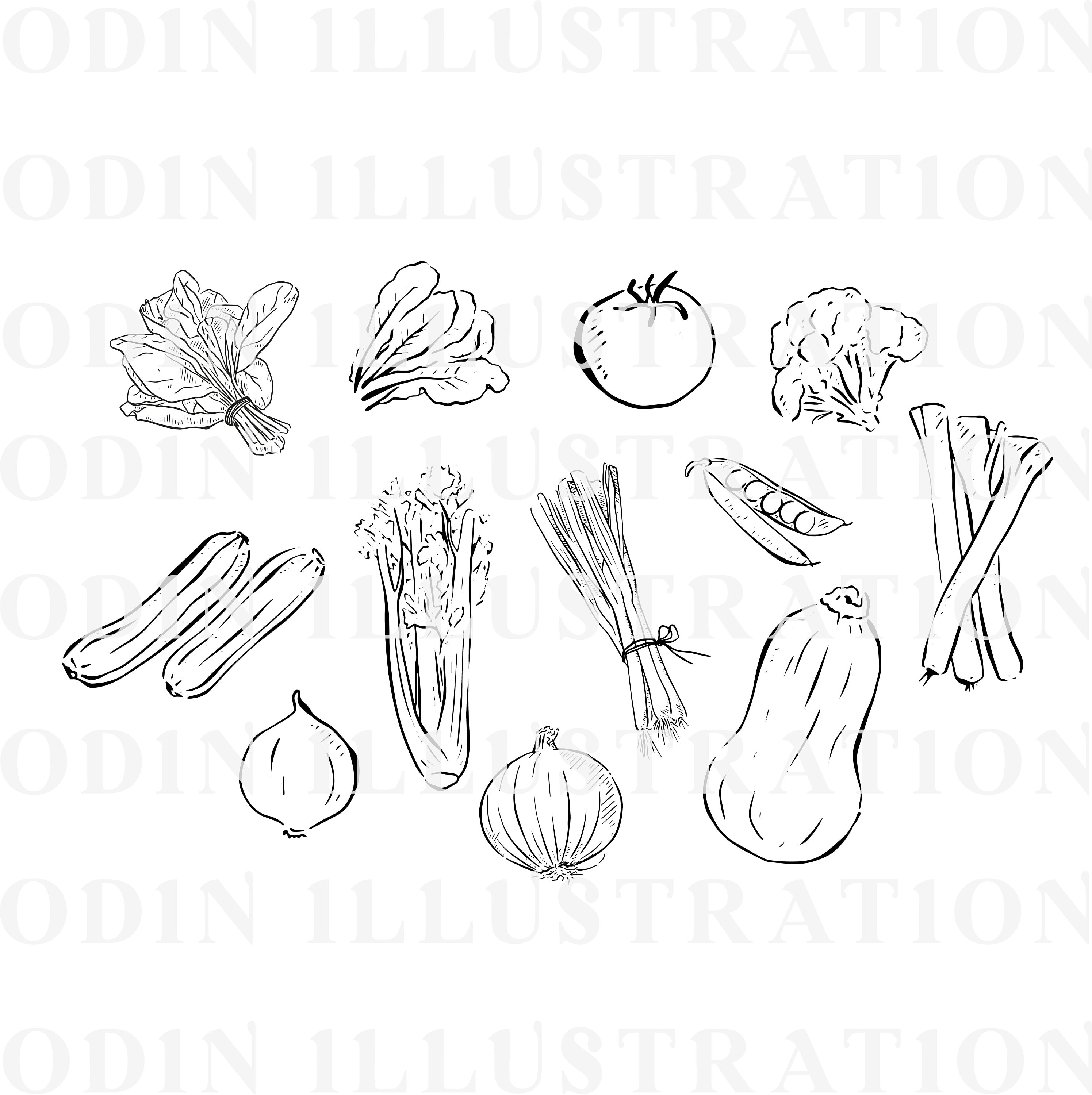 Vegetables Line Drawn Clipart, Black and White Digital Download, Png ...