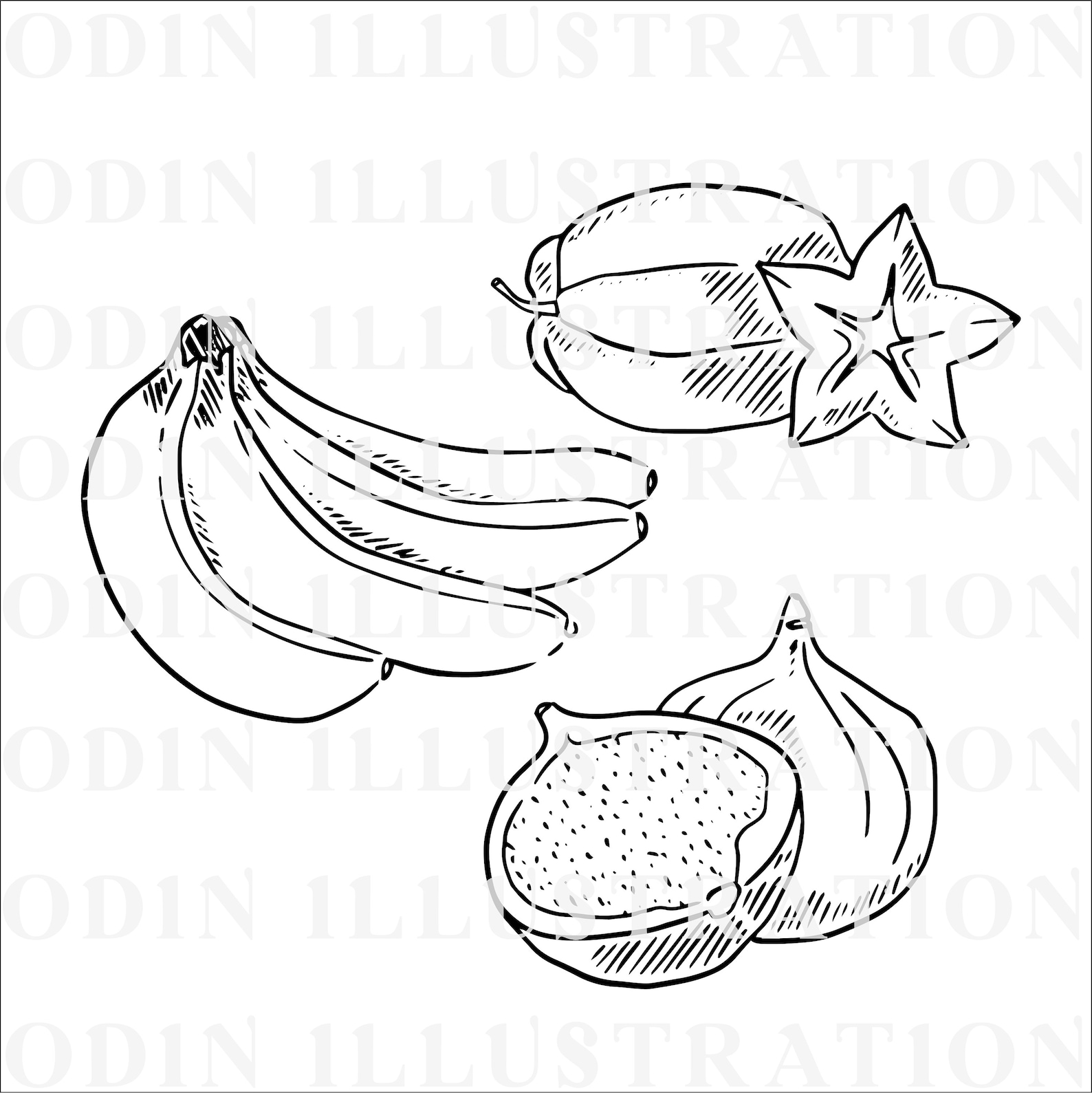 Fruit Clipart Bundle, Instant Download Line Drawn Svg, Png, Eps, Dxf ...
