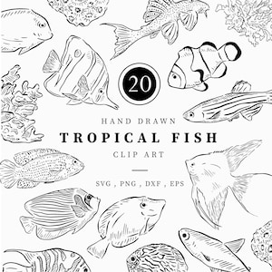 Tropical Fish Clipart, Hand Drawn Fish and Coral, Black & White Line ...