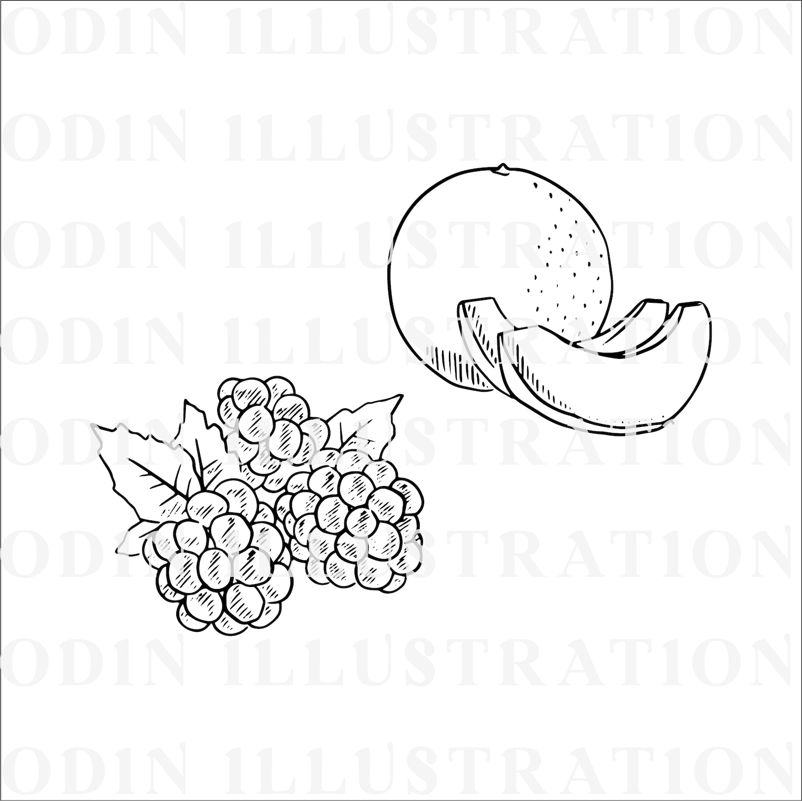 Fruit Clipart Bundle, Instant Download Line Drawn Svg, Png, Eps, Dxf ...