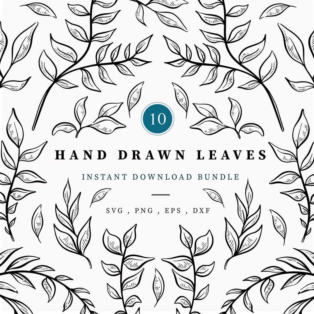 Botanical Illustration Bundle, Decorative Leaves Clipart, Black & White ...