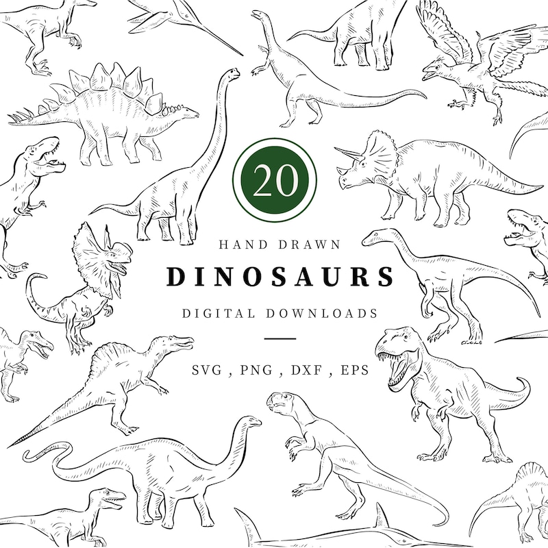 Dinosaur Clip Art - Etsy