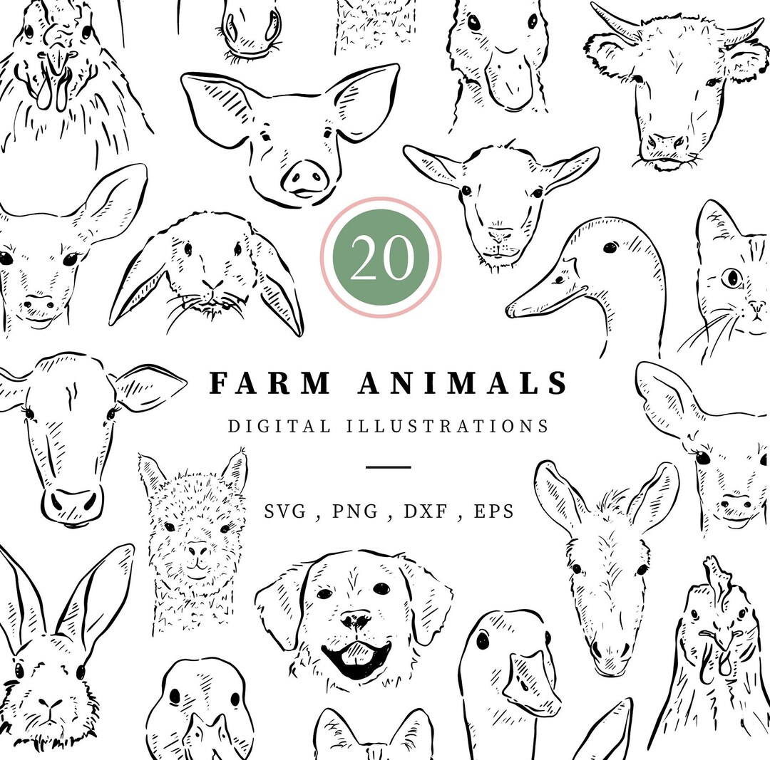 Farm Animals Digital Clip Art, Digital Illustration Downloads, 20 Png ...