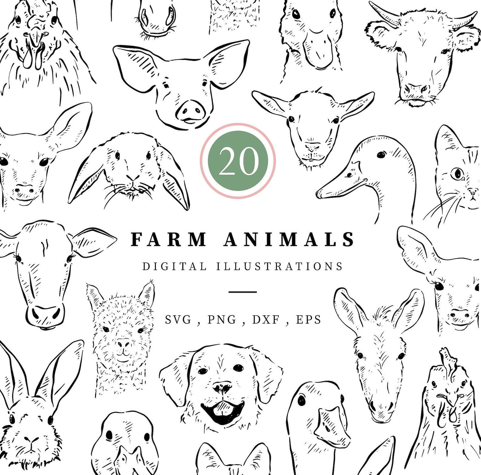 Farm Animals Digital Clip Art, Digital Illustration Downloads, 20 Png ...