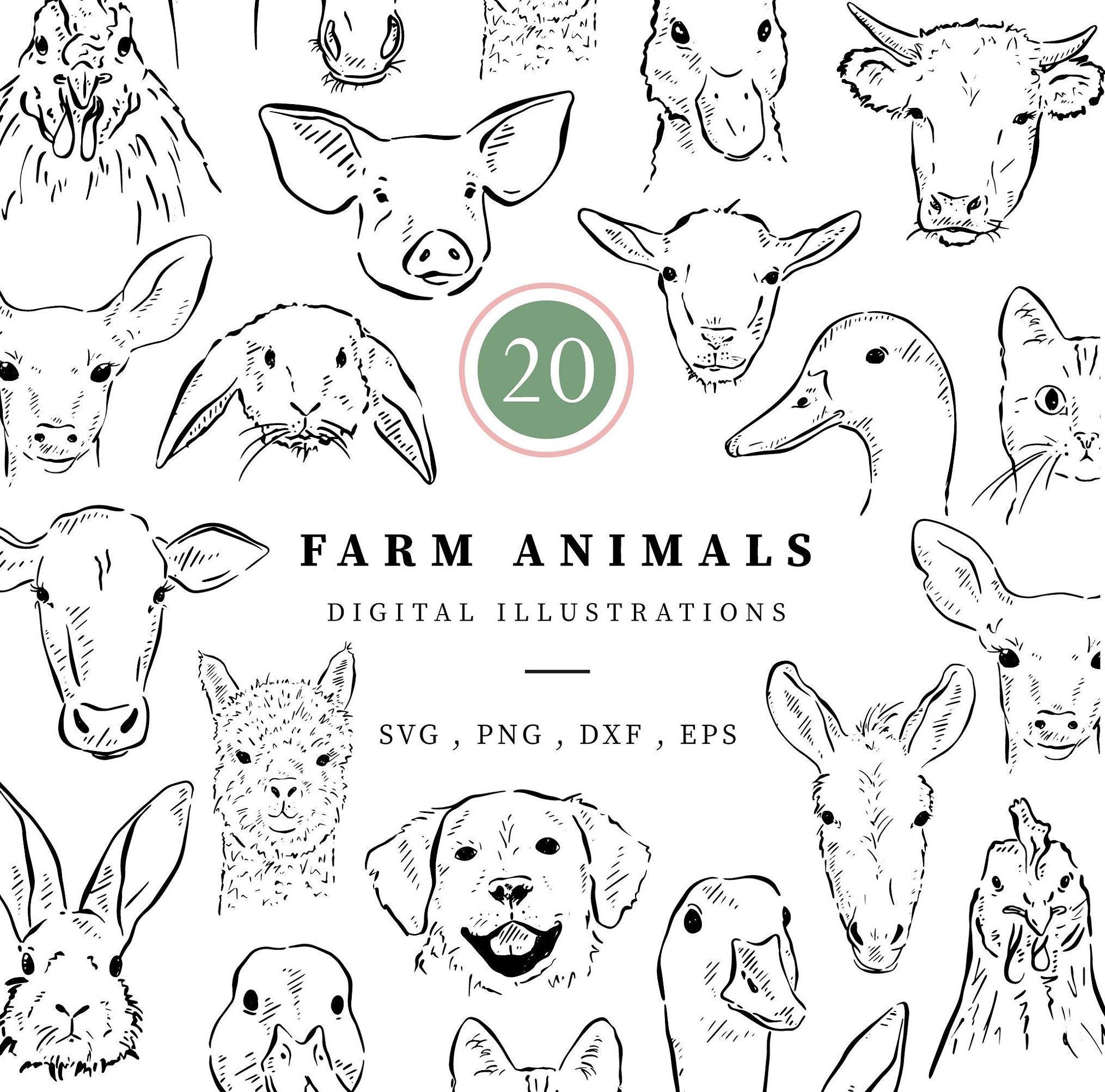 Farm Animals Digital Clip Art, Digital Illustration Downloads, 20 Png ...