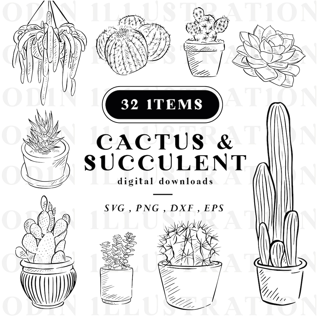 Cactus Clipart, House Plant Digital Download, Illustration Bundle, Line ...