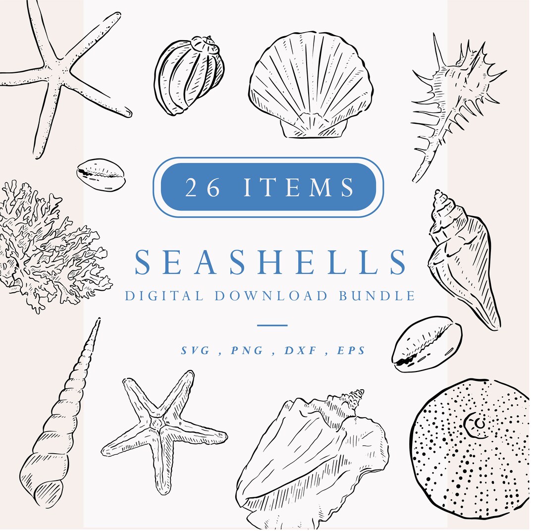 Shell Clipart Bundle, Sea Themed Digital Download, Illustration Bundle ...