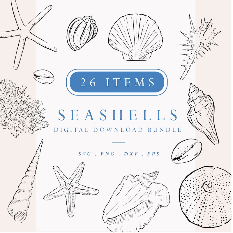 Sea Shell Drawing - Etsy