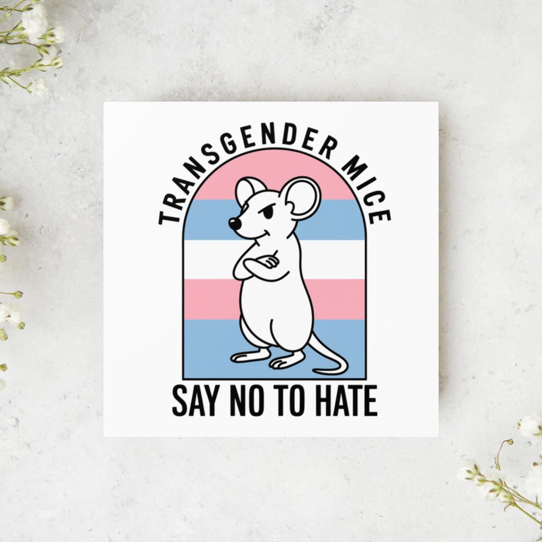 Protect Trans People Sticker | LGBTQ+ Equality Decal for Kids | Trans ...