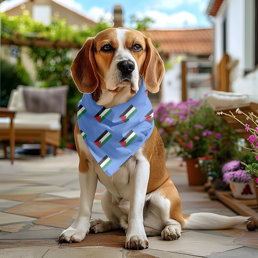 Palestine Scarf for Pets, Palestinian Flag Dog Collar, Pet Bandana ...