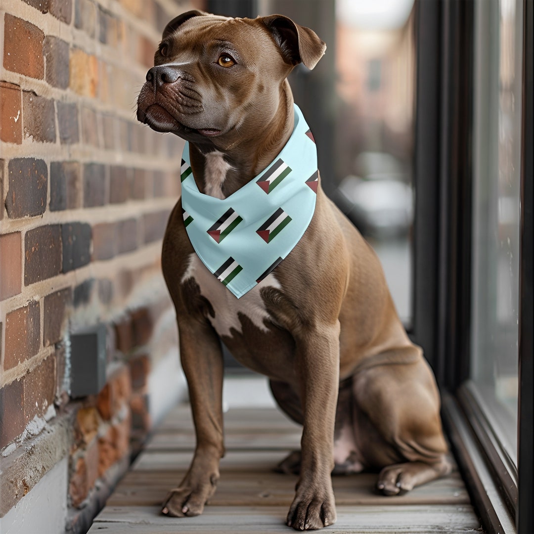 Palestine Scarf for Pets, Palestinian Flag Dog Collar, Pet Bandana ...