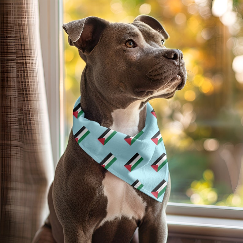 Palestine Scarf for Pets, Palestinian Flag Dog Collar, Pet Bandana ...