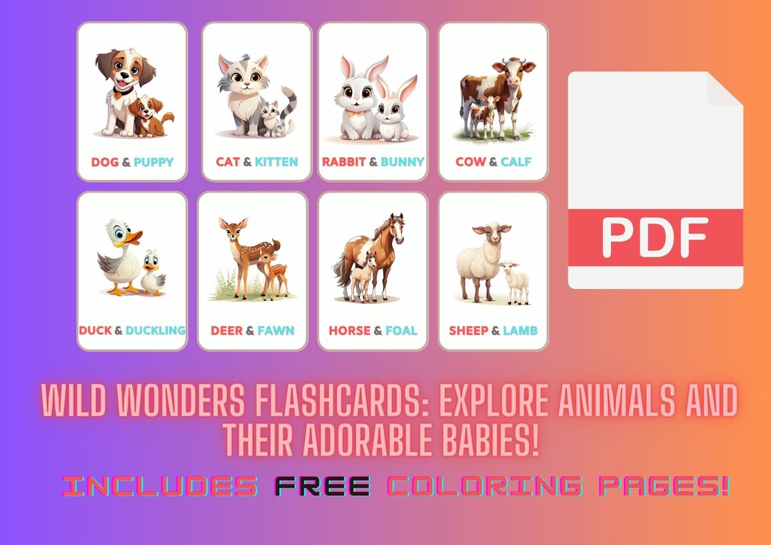 Wild Wonders Flashcards: Explore Animals and Their Adorable Babies! 3 ...