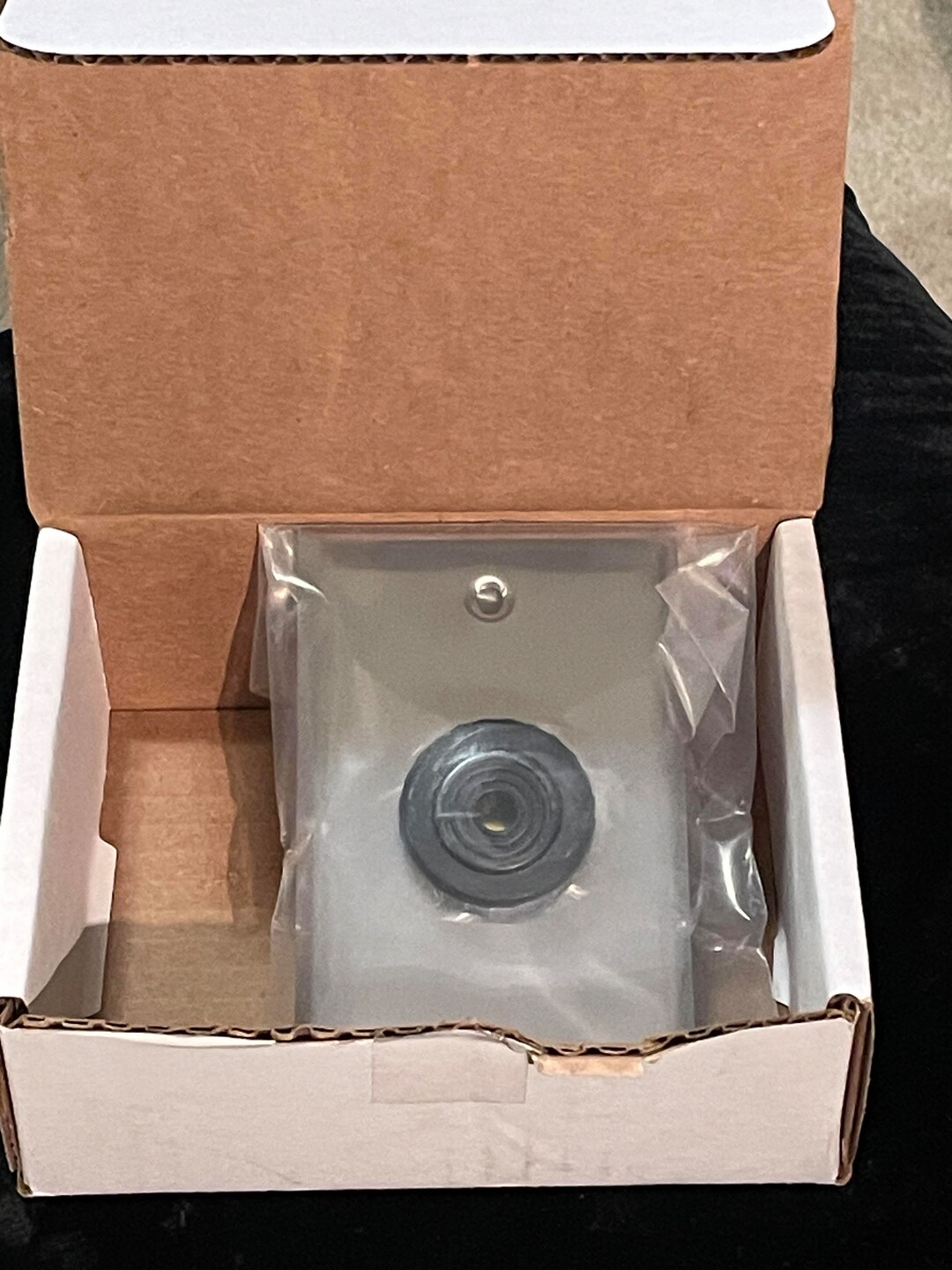 Securiton Single Gang PZ1 Sounder NEW Open Box - Etsy