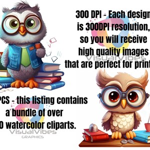 20+ Cute Baby Boy Owl Clipart | Boy Owl | Sticker | PNG | Commercial ...