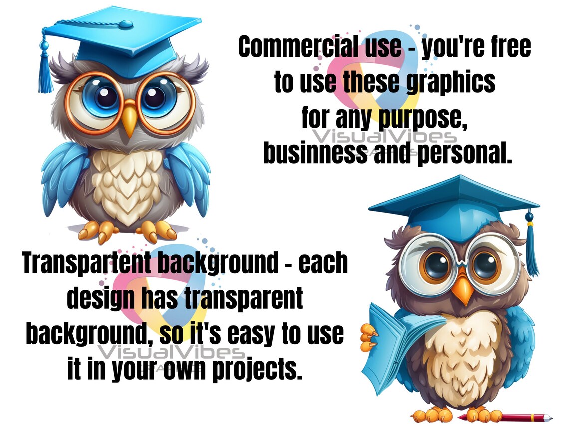 20 Cute Baby Boy Owl Clipart Boy Owl Sticker PNG - Etsy