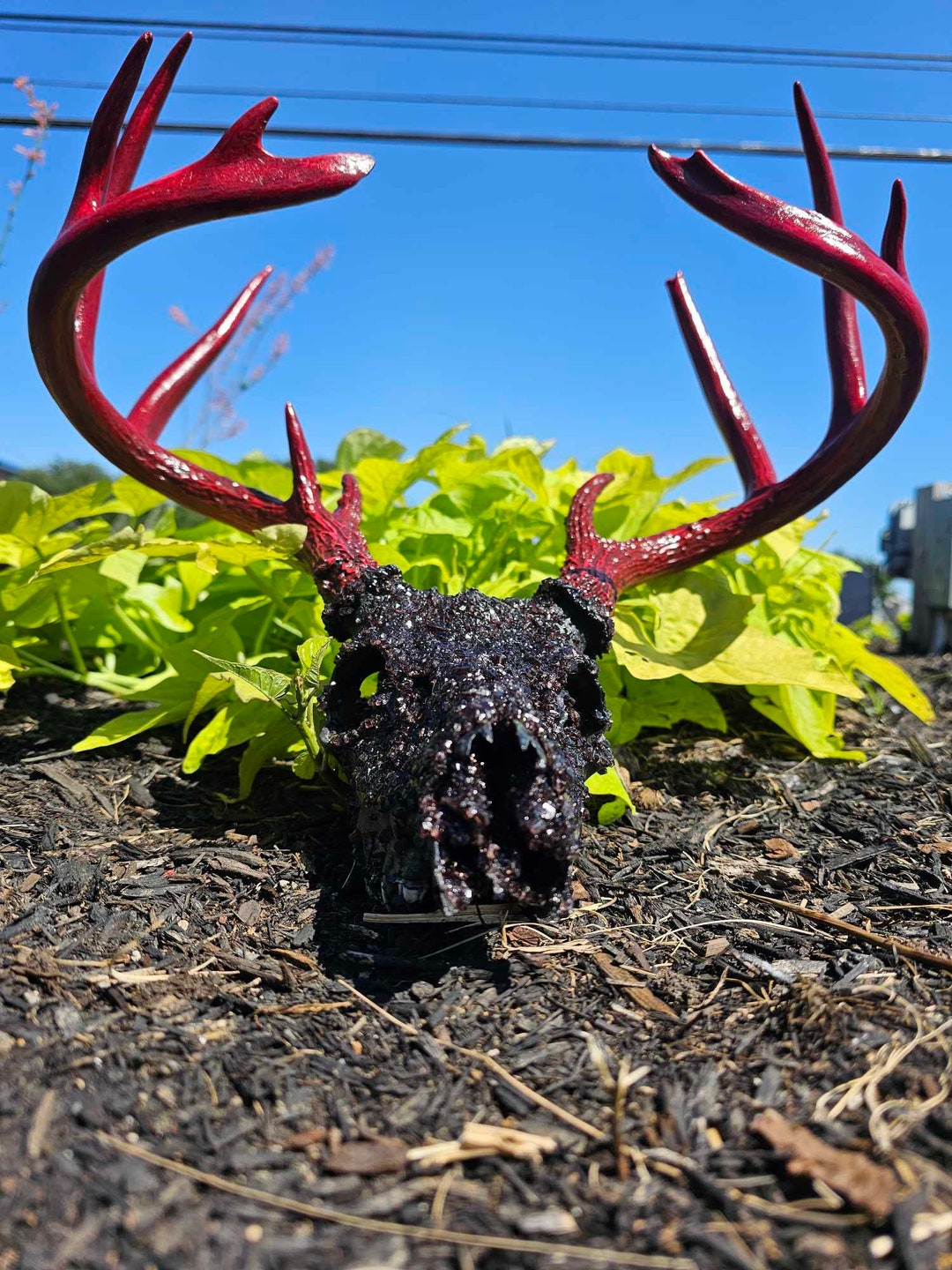 Black Crystal Stag Skull - Etsy