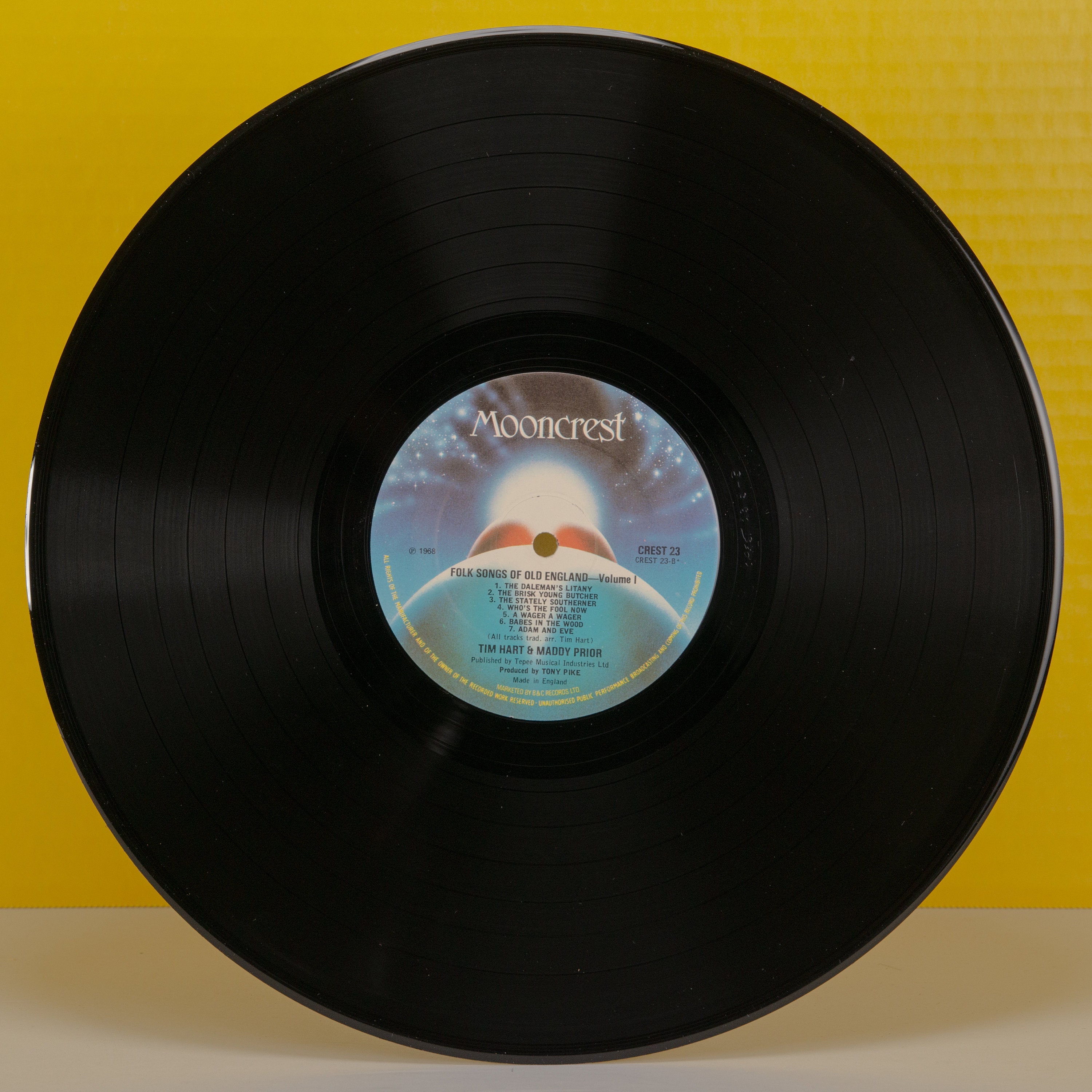 Steeleye Span's Tim Hart and Maddy Prior Sing Folk Songs - Etsy