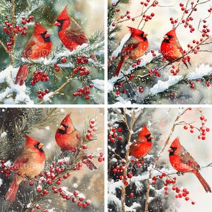 20 Watercolor Winter Red Cardinals Images, Christmas Red Cardinal ...