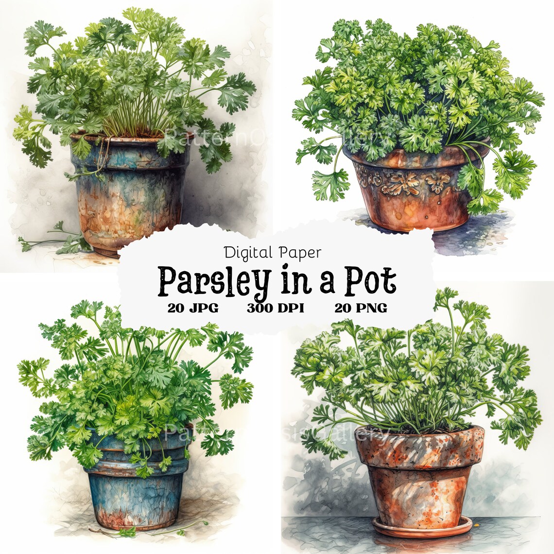 20 Parsley in Pots Clipart, Herbs Clipart, Parsley Images, Printable ...
