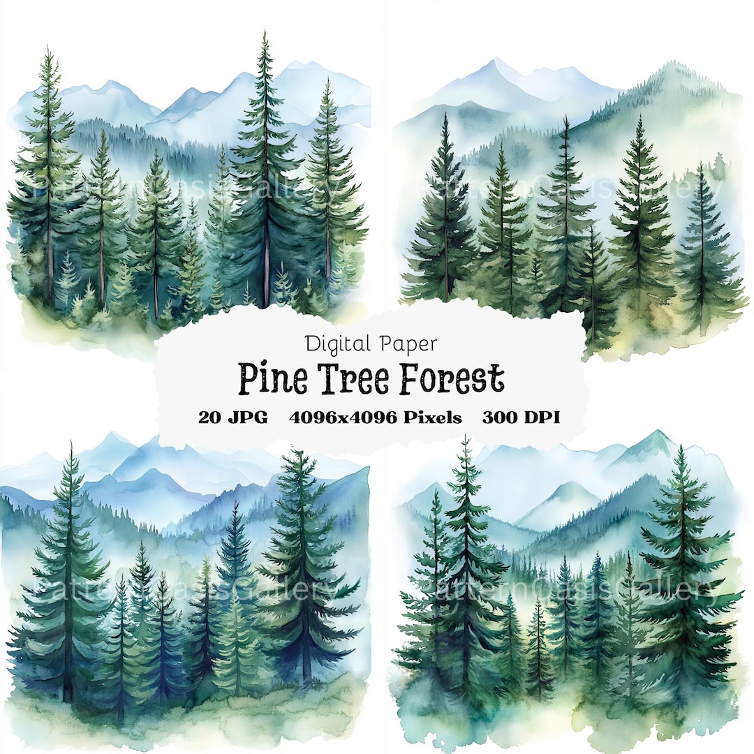 20 Pine Forest Scenes Watercolor Clipart, Evergreen Trees Nature ...