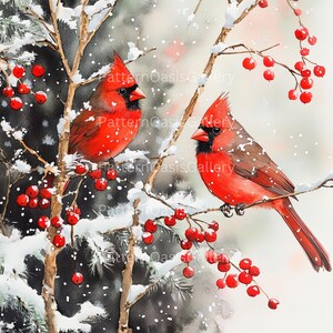 20 Watercolor Winter Red Cardinals Images, Christmas Red Cardinal ...